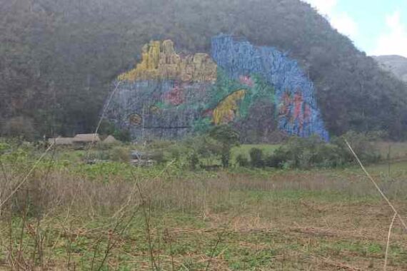 The 23 Best Things to Do in Vinales, Cuba - Cubas Best