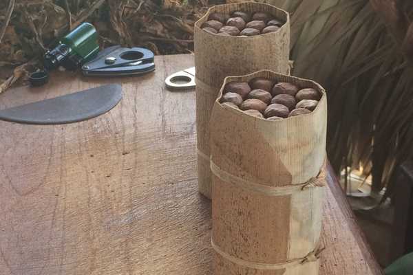 The Ultimate Cuban Cigar Guide [Cigars in Cuba] - Cubas Best