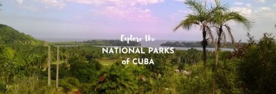 The Best 6 National Parks in Cuba to Visit [Cuba’s Natural Reserves ...